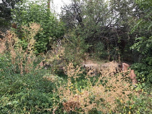 Backyard Disaster