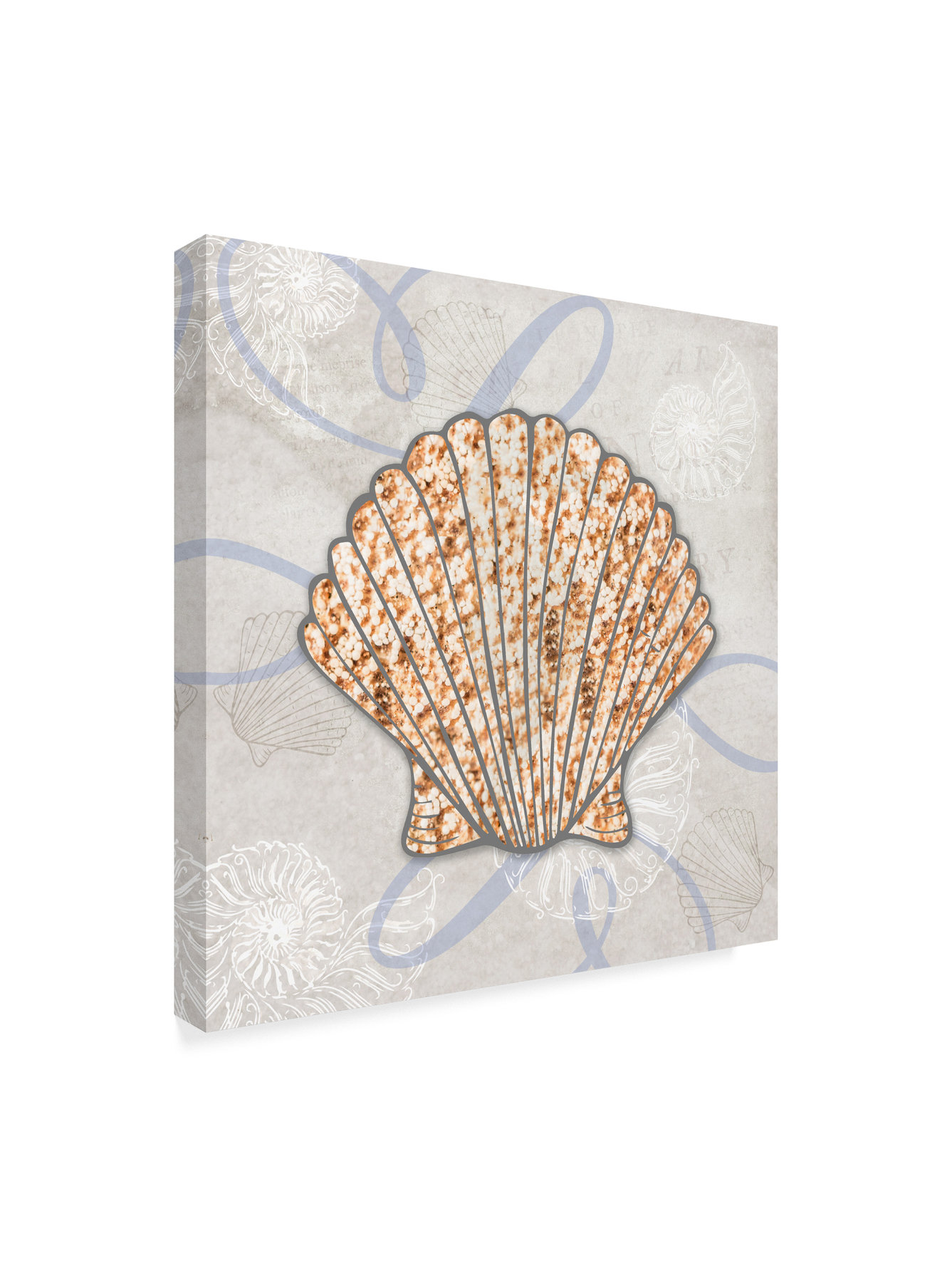 "Shell Texture" by Lightboxjournal, Canvas Art, 35"x35" - Beach Style ...