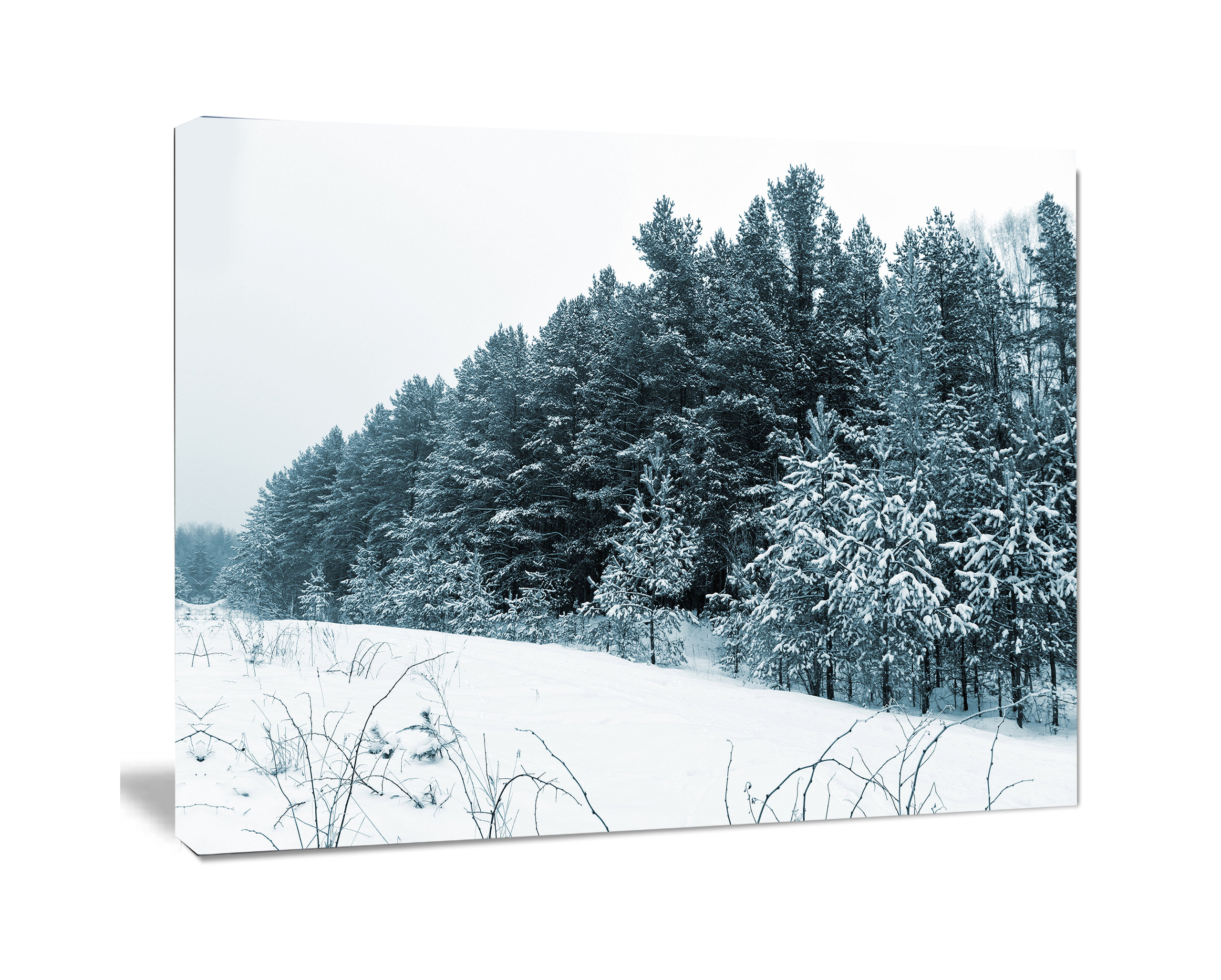 Dark Winter Trees, Landscape Canvas Art Print, 40"x30" - Contemporary ...