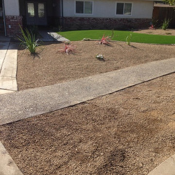 Zero Scaping Ideas - Photos & Ideas | Houzz