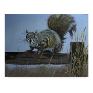 Rusty Frentner 'Squirrel' Canvas Art, 32"x24" - Rustic - Prints And ...
