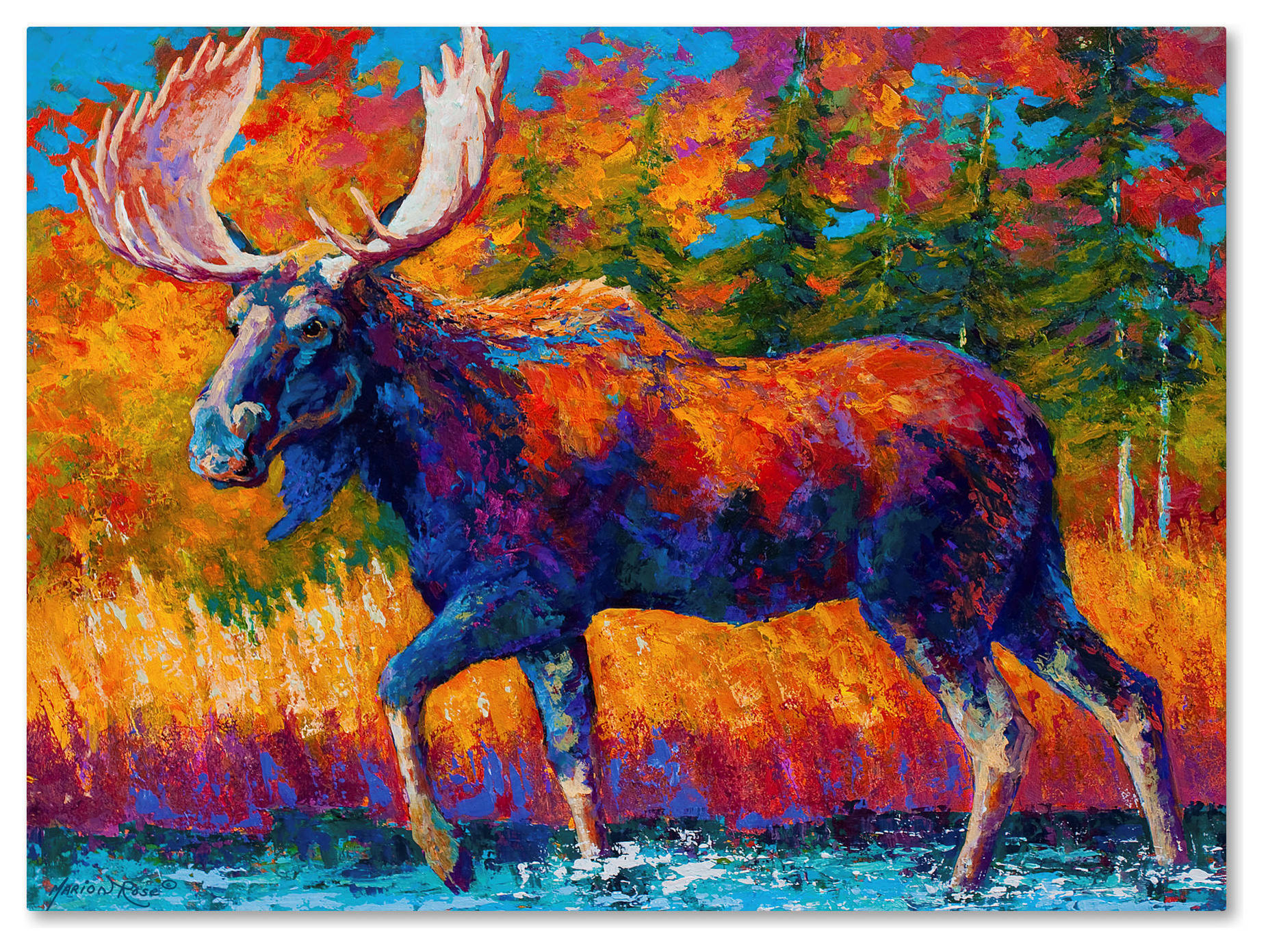 Marion Rose 'Moose Encounter' Canvas Art, 19"x 14" - Rustic - Prints ...