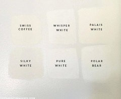 Help! How do I choose the correct white paint color for guest bthroom?