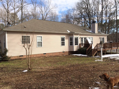 Help! The back of my house is oh-so-boring