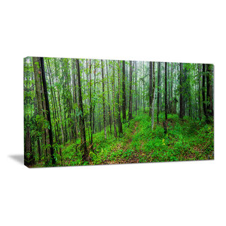 "Green Wild Forest With Dense Trees" Large Forest Wall Art, 60"x28 ...