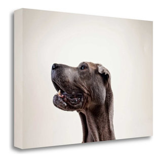 Peleis Eyes By Susan Sabo, 26"x17" - Contemporary - Prints And Posters ...