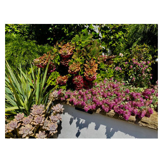 Award Winning Spanish Modern Mash-up - Modern - Garden - San Francisco ...