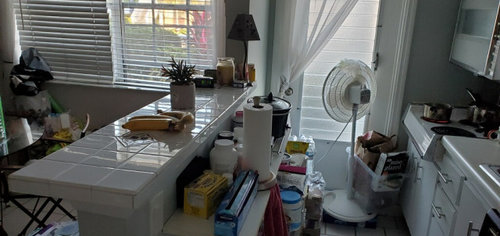narrow kitchen needs counter space