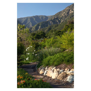 Montecito Phoenix rise from the ashes - Mediterranean - Landscape ...
