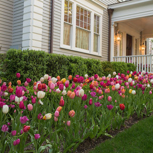Tulip Garden | Houzz