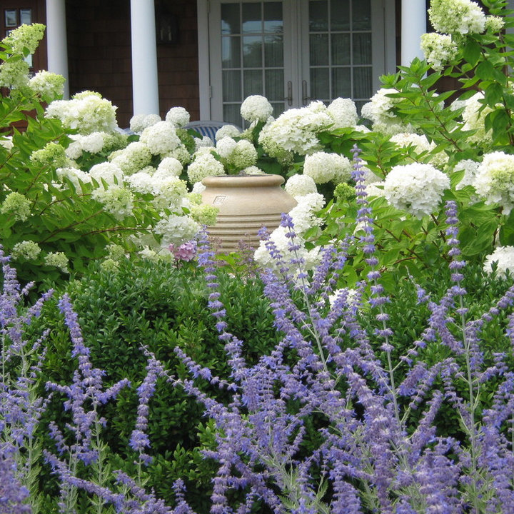 75 Blue Home Design Ideas You'll Love - December, 2025 | Houzz