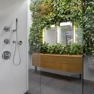 75 Beautiful Green Walk-In Shower Pictures & Ideas | Houzz