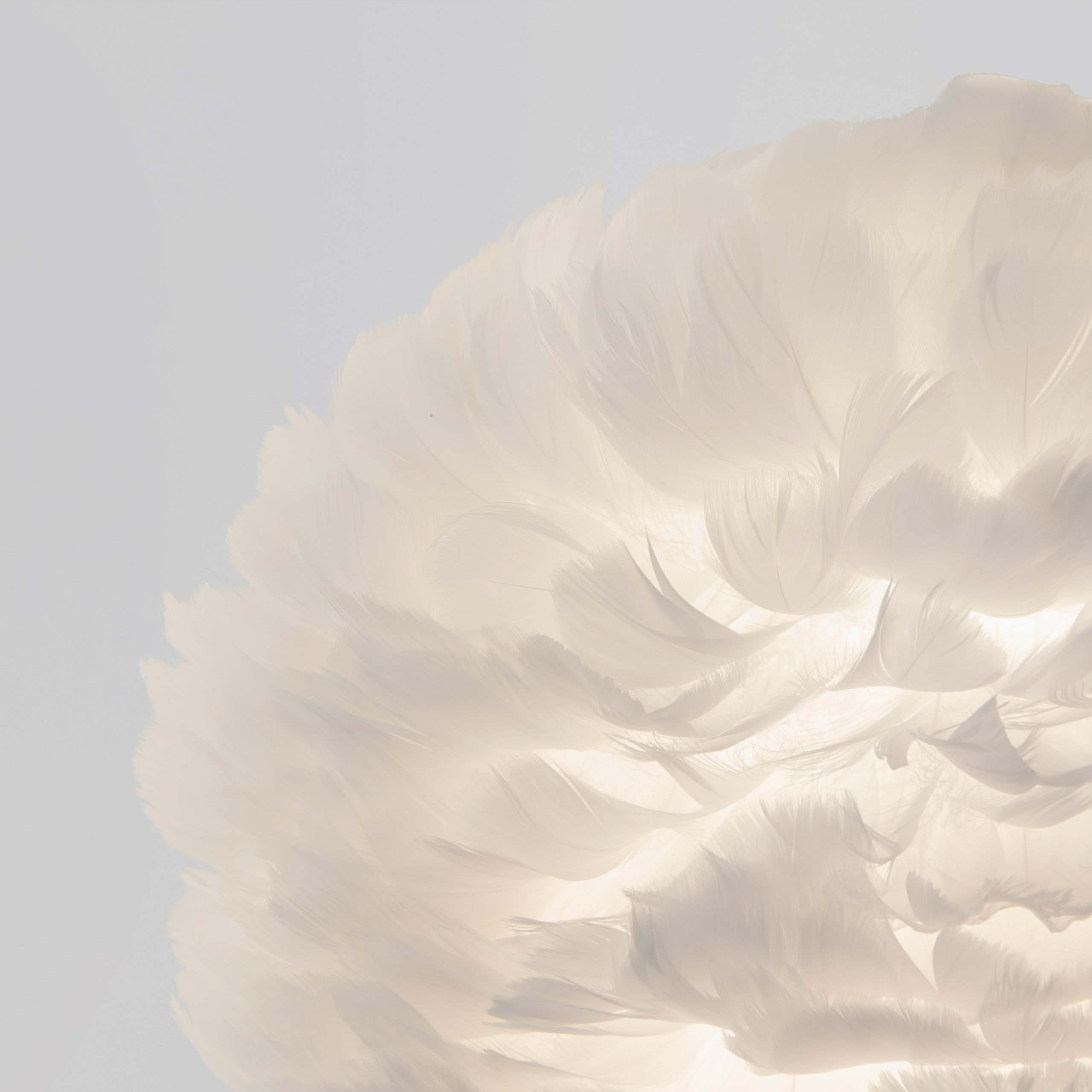 Artika Plume Modern Feathers Pendant Light Fixture - Contemporary ...