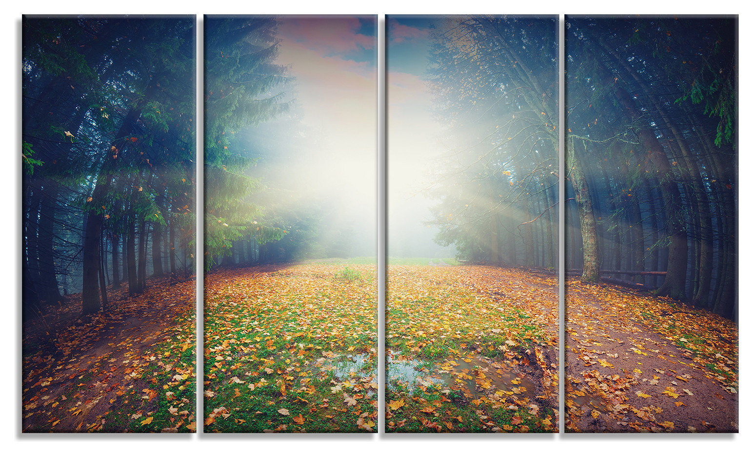 "Rising Sun Over Arched Forest" Landscape Photo Wall Art, 48"x28 ...