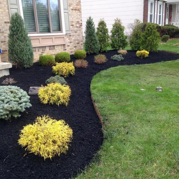 75 Beautiful Front Yard Landscaping Pictures & Ideas | Houzz