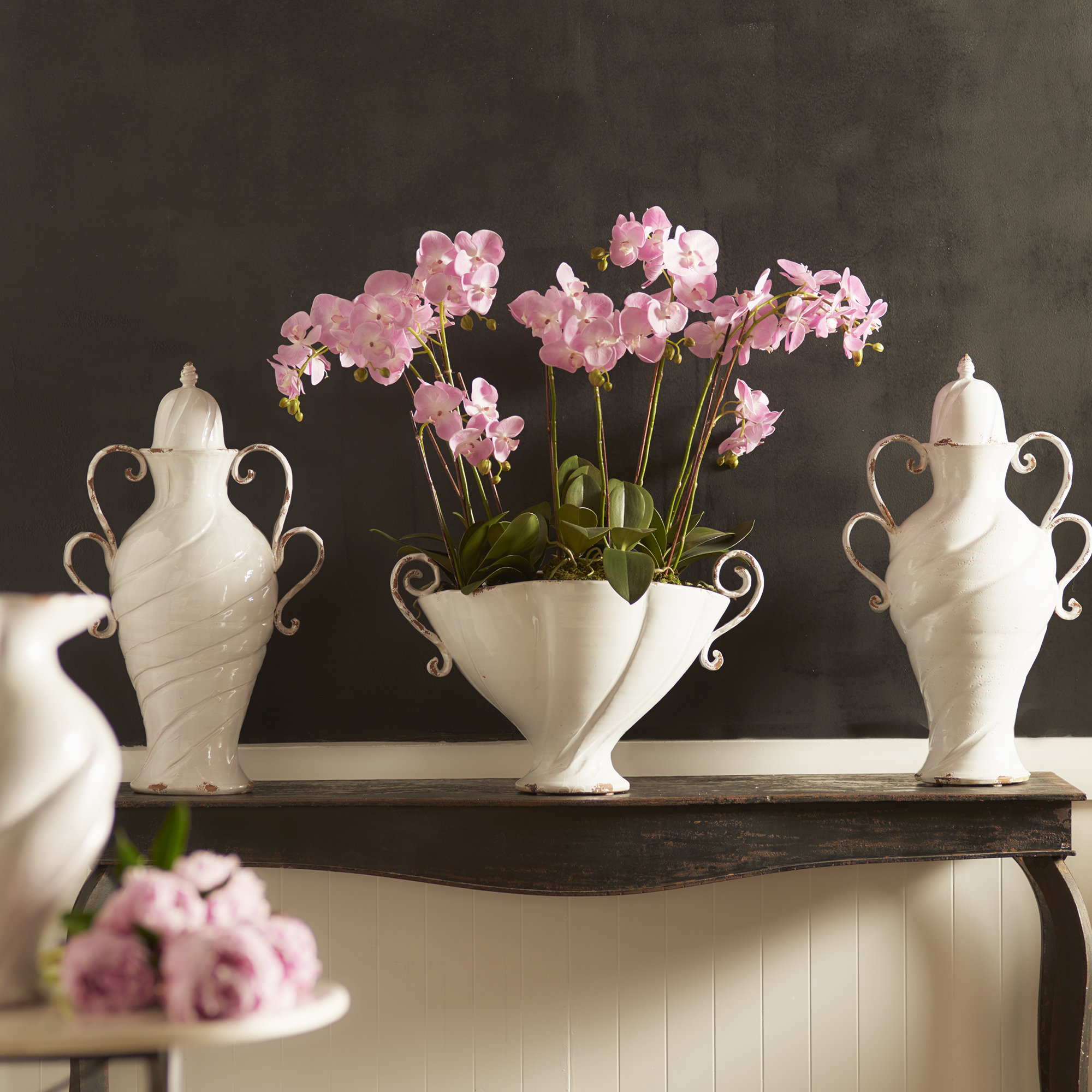 Phalaenopsis Orchid Drop-In with Root Ball, 23" - Contemporary ...