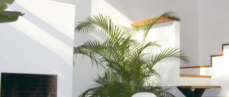 LIONEL COUTIER ARCHITECTE - La Rochelle, FR 17000 | Houzz FR