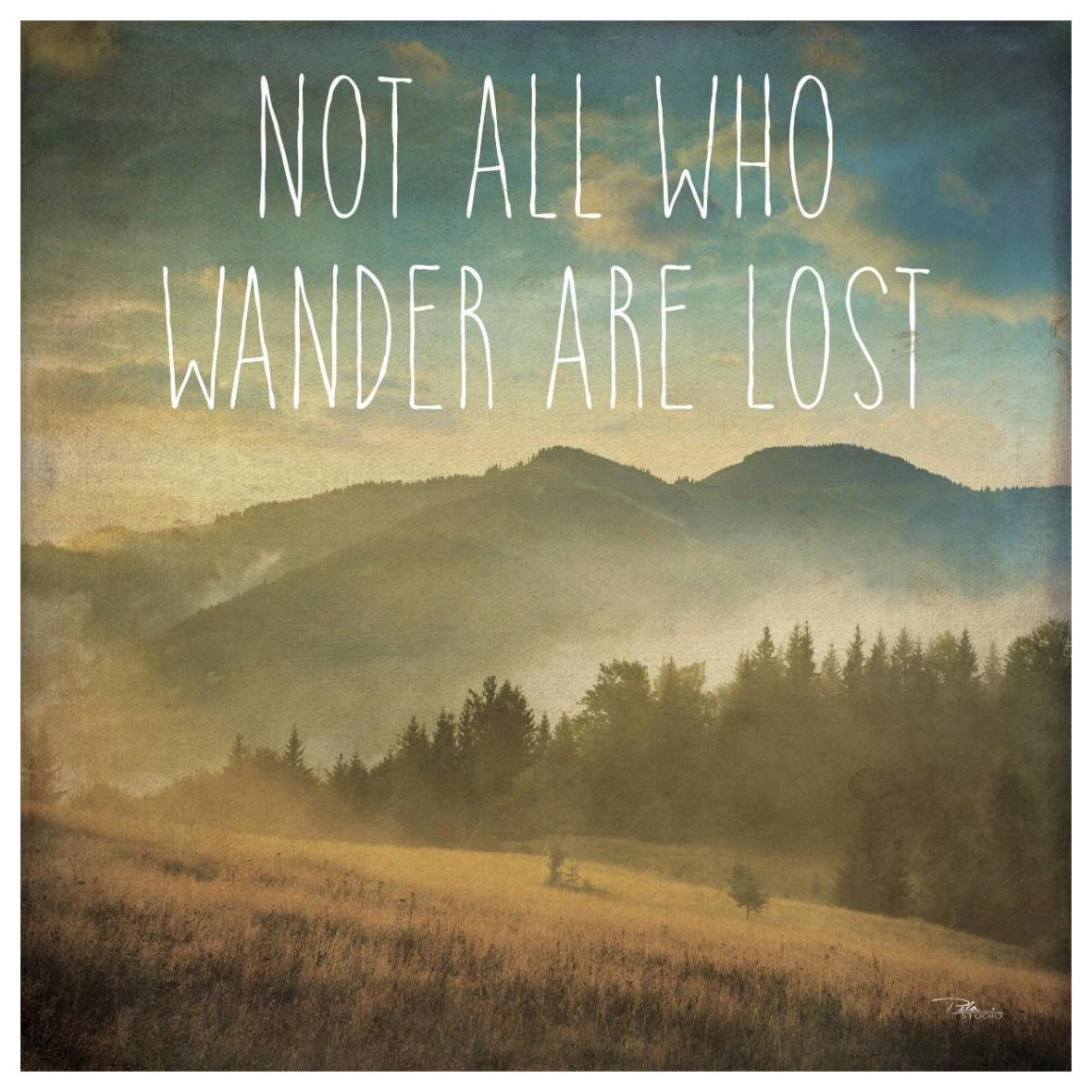 "Wander II" Digital Paper Print by Pela Studios, 20"x20", 38"x38 ...