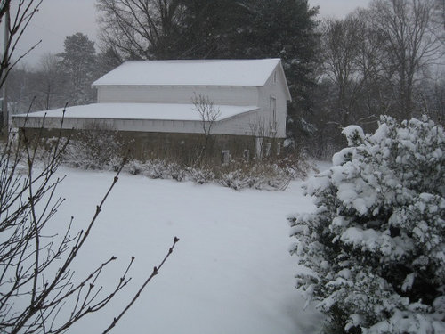 Spring follows winter!