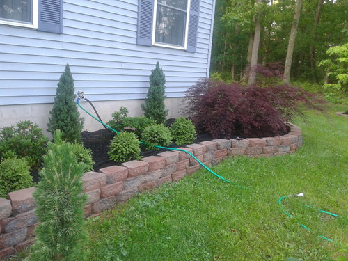 Boring Front Yard before and after!