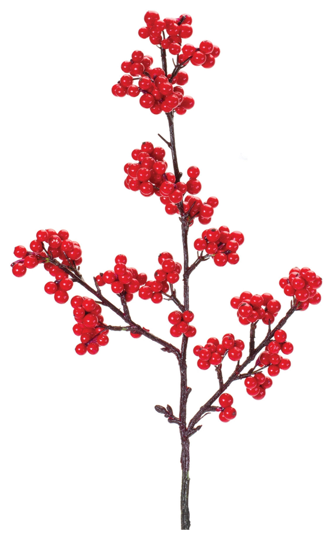 Berry Twig Spray, Set of 6 - Traditional - Christmas Decorations - by ...