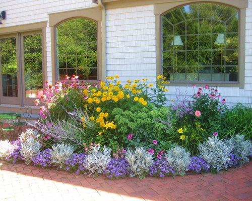 Dusty Miller | Houzz