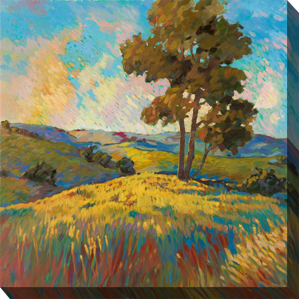 High Ground Canvas Art Print, 24"x24" - Contemporary - Outdoor Wall Art ...