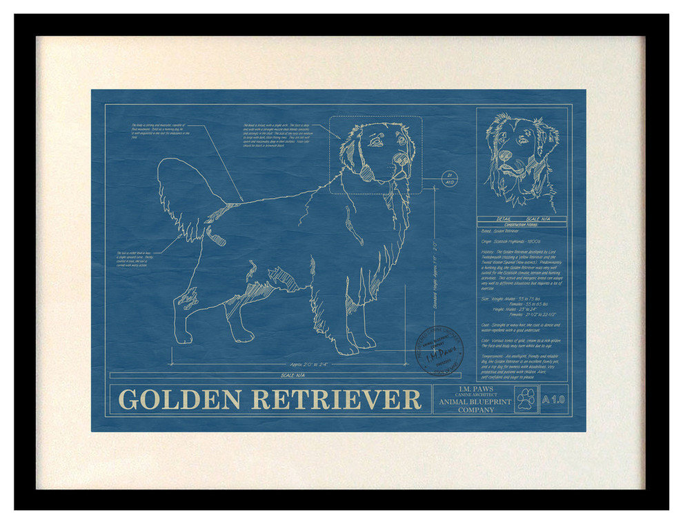 Animal Blueprint Art - Contemporary - Prints And Posters - by Animal ...