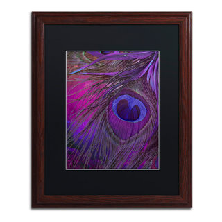 Color Bakery 'Peacock Candy IV' Art, 16"x20" - Traditional - Prints And ...