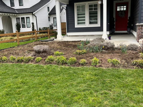 Landscape design zone 8-9 full sun yard.