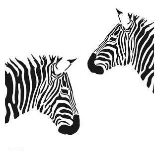 Zebra Decal, 21x21", 21X21 - Contemporary - Wall Decals - by Design ...