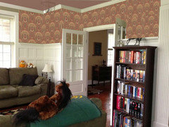 Need Help with Paint Colour for Library!