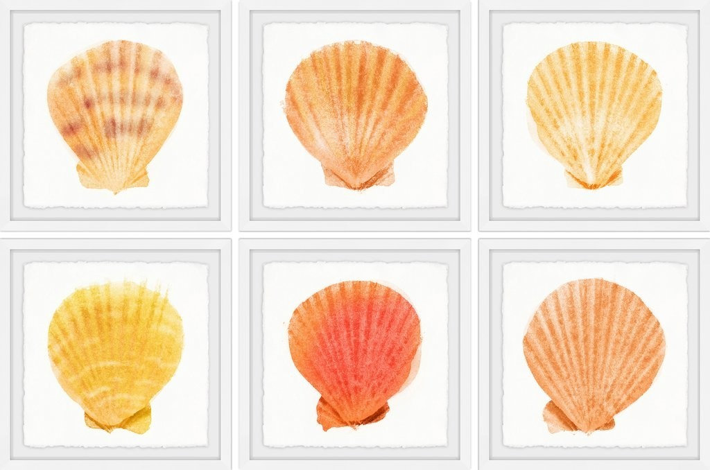 Sea Shells Wonder II Hexaptych, 36"x24" - Beach Style - Prints And ...
