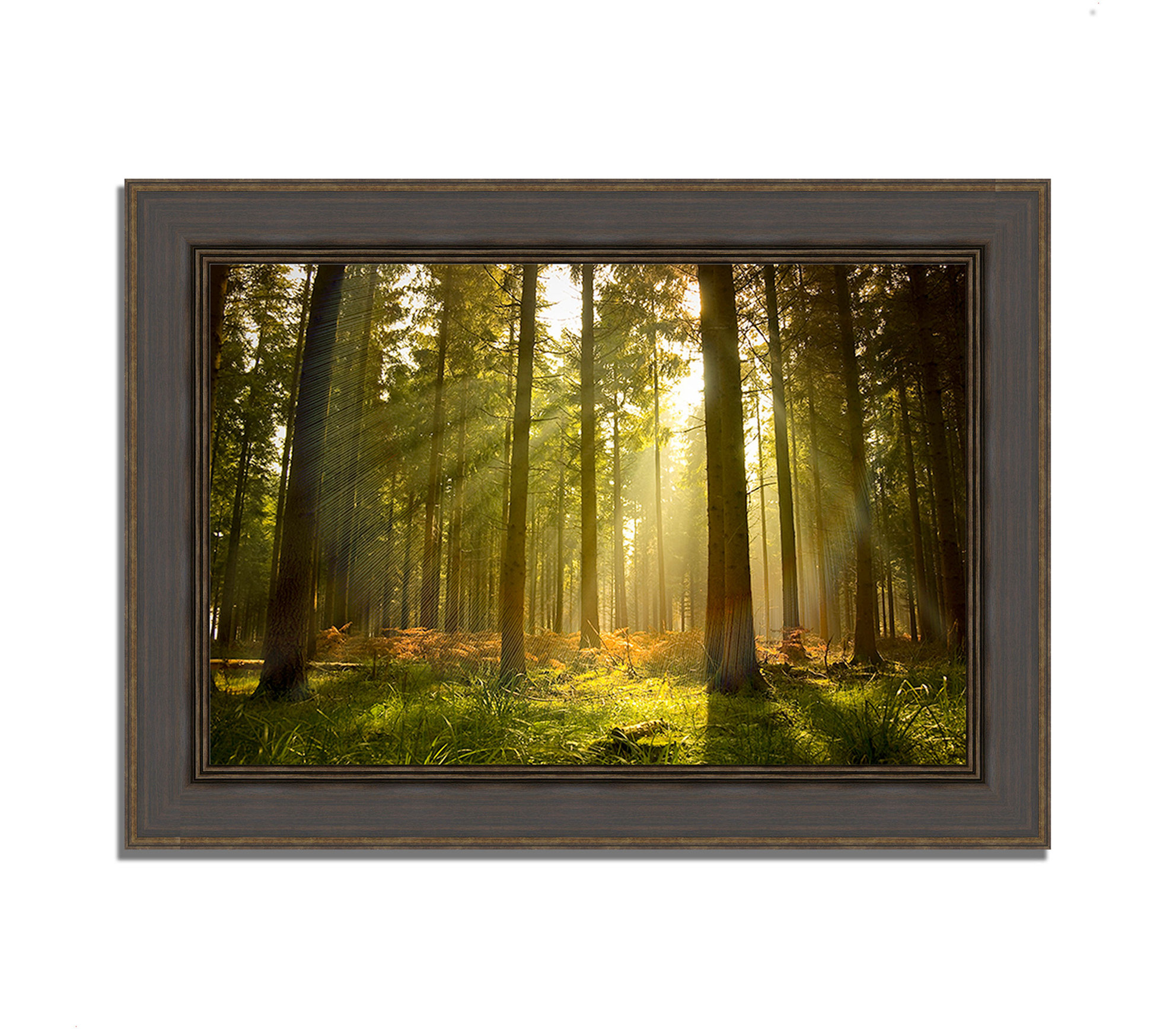 "Forest At Dusk", Framed Photograph Print, Ready To Hang - Traditional ...