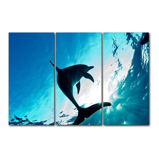 Ready2hangart Christopher Doherty Photography 'Dolphin' 3-PC Canvas Art ...