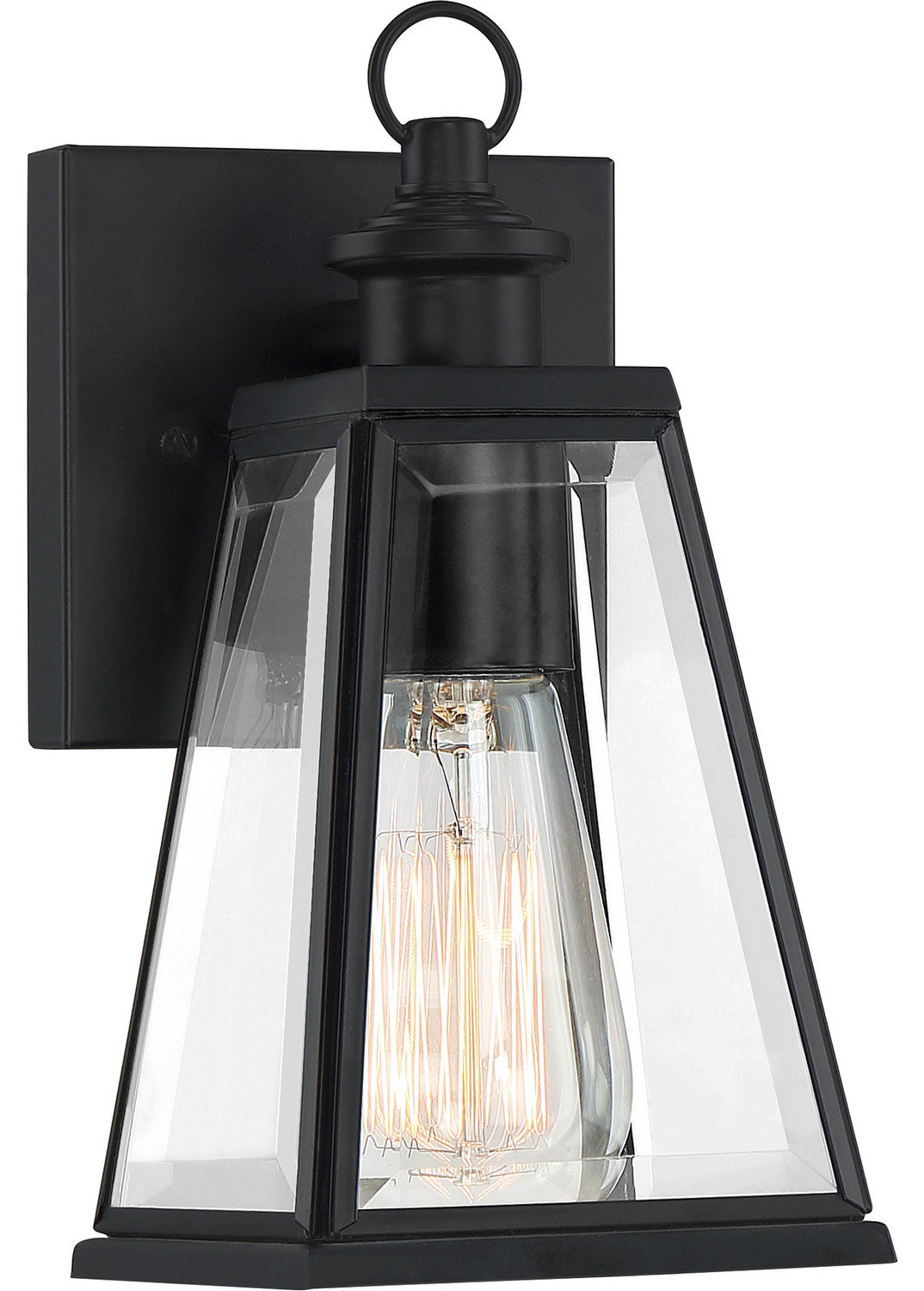 Paxton 1-Light Outdoor Lantern, Matte Black - Transitional - Outdoor ...