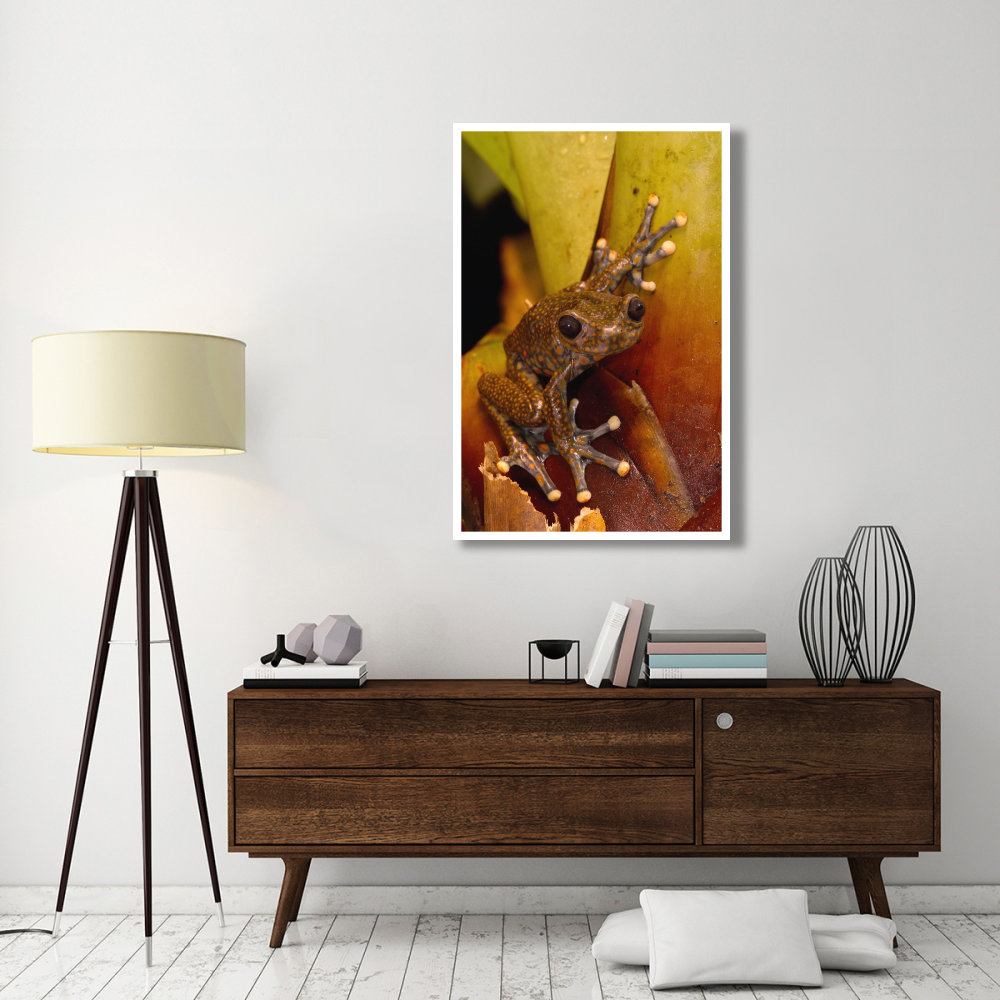 "Strawberry Tree Frog male in cloud forest, Carchi Province" Paper Art ...