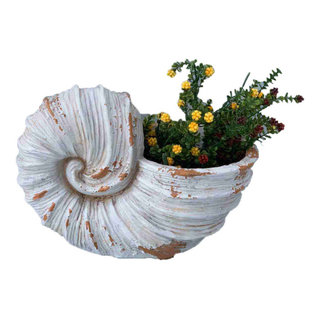 9" Distressed Cream and Terra Cotta Conch Shell Planter - Beach Style ...