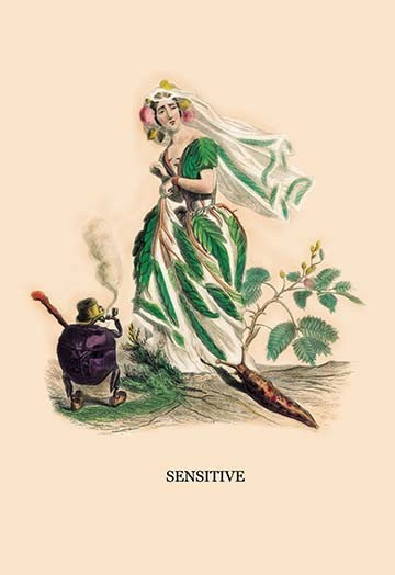 Sensitive, 20" x 30" - Traditional - Prints And Posters - by Buyenlarge ...