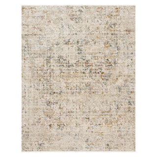 Loloi Theia The-04 Organic/Abstract Rug, Multi/Natural, 6'7"x9'6 ...