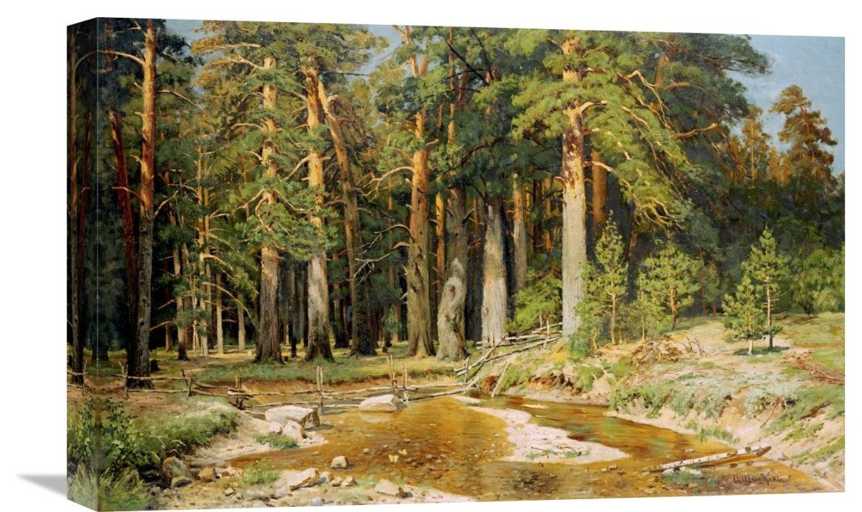 "The Mast-Tree Grove, Study" Canvas Giclee by Ivan Ivanovich Shishkin ...