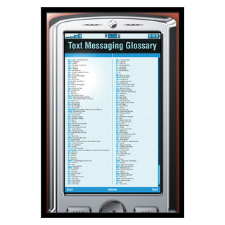 Text Msg Glossary Poster - Contemporary - Prints And Posters - by ...