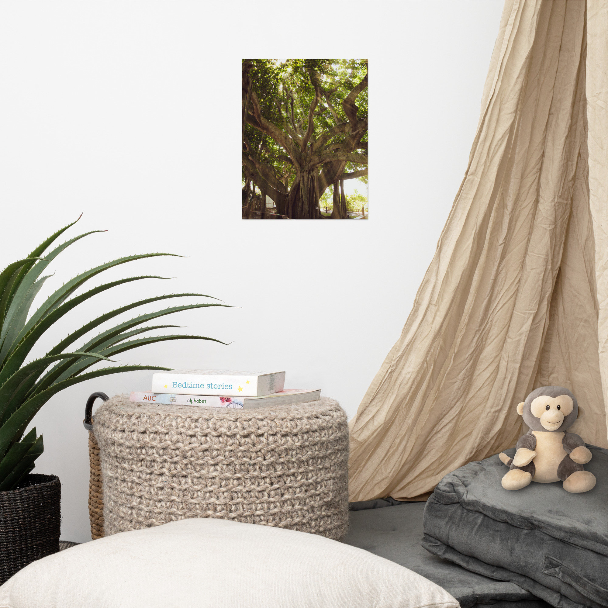 Banyan Tree With Glory Rays of Sunlight Botanical Photo Wall Art Print ...