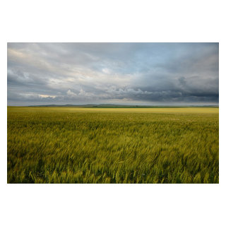 3 Panel Art, Nature Scene Wall Art Photography - Fine Art Prints, 48x32 ...