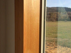 Vinyl windows, white or beige/tan?