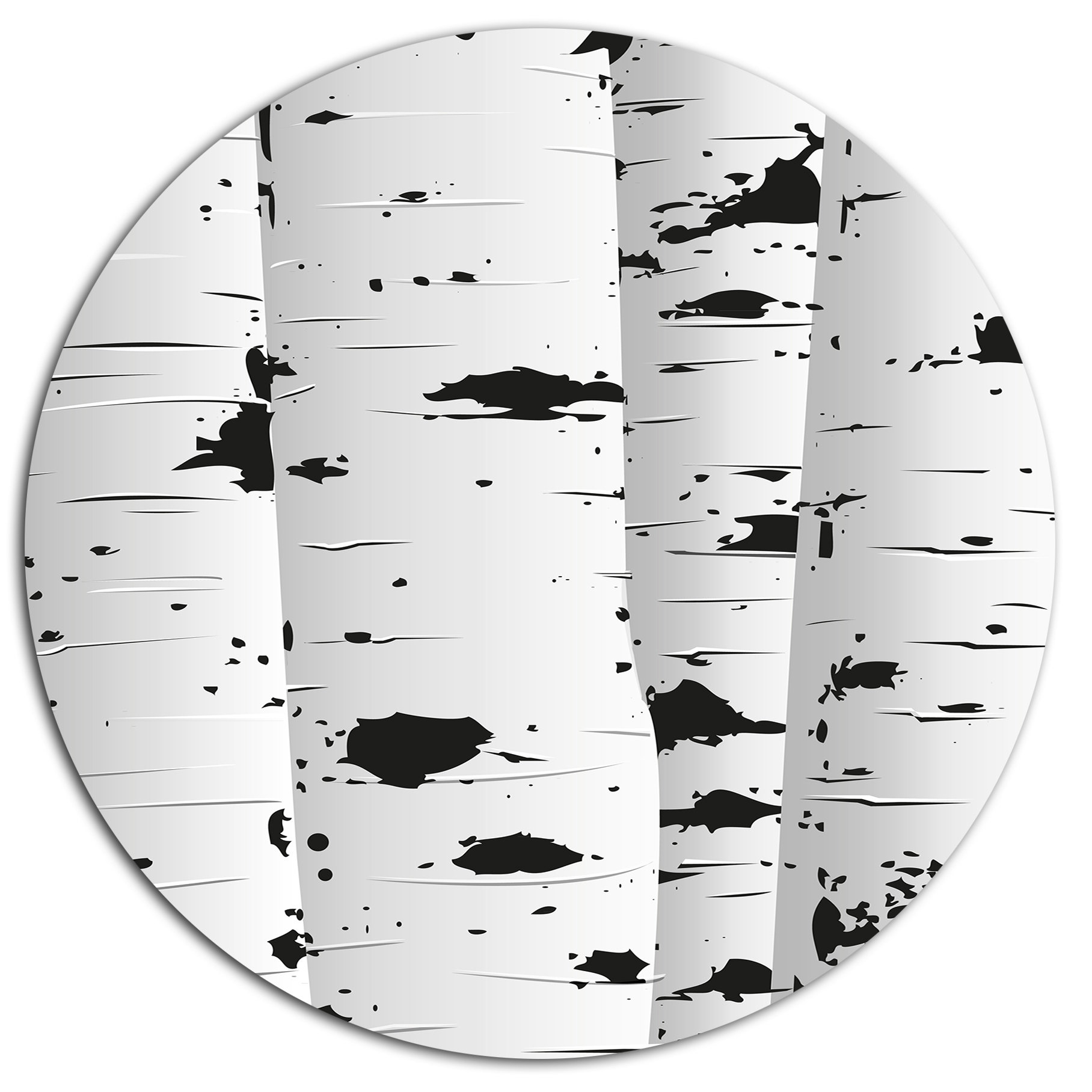 Birch Tree Black And White Texture, Landscape Disc Metal Wall Art, Disc ...