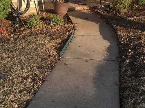 Raise walkway? & landscape ideas