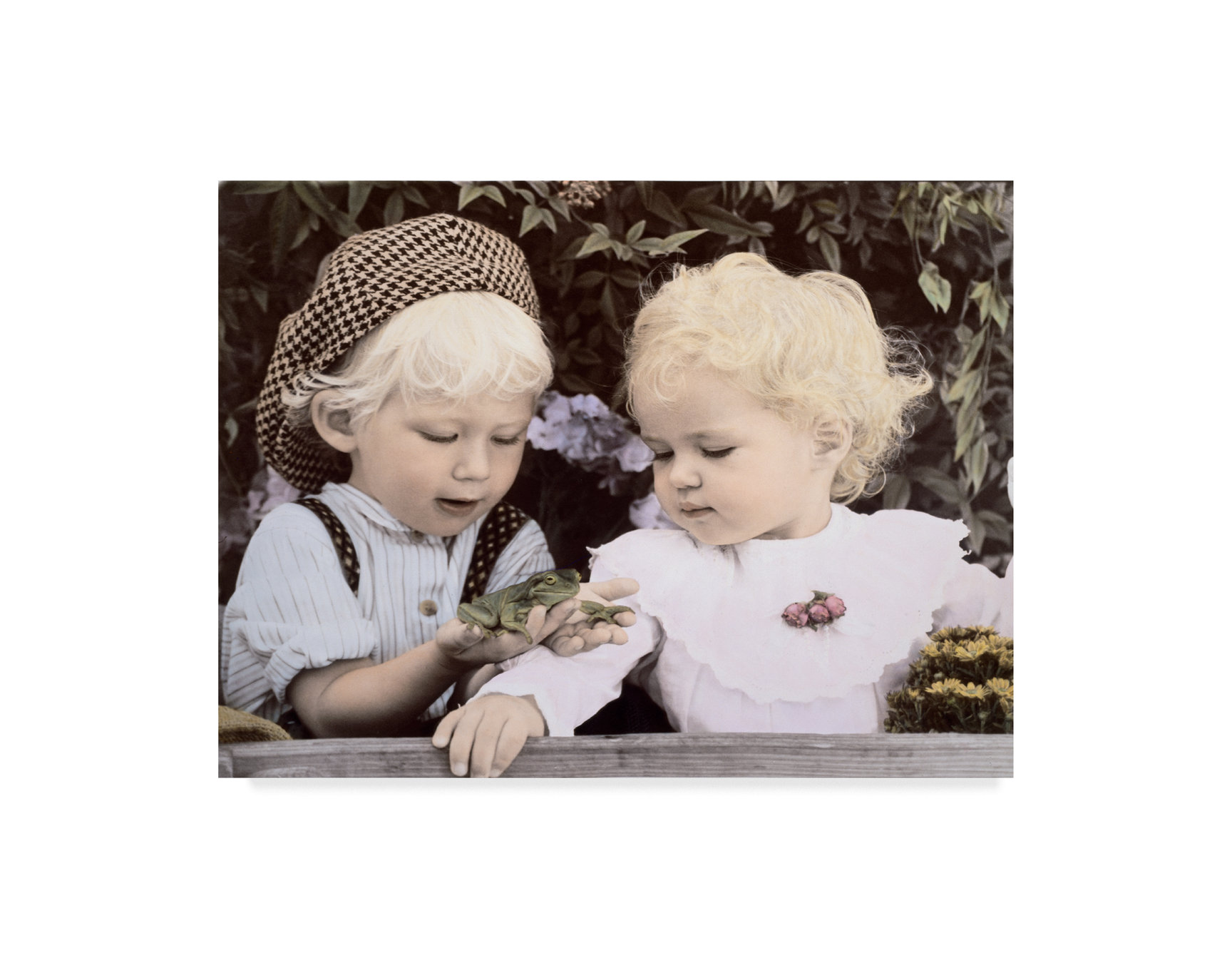 Sharon Forbes 'He Wont Bite' Canvas Art, 19"x14" - Contemporary ...