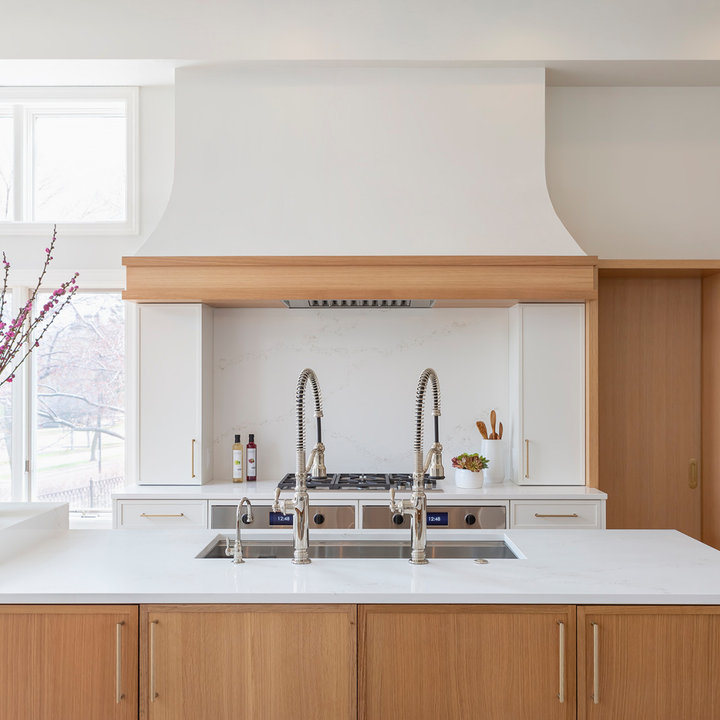 75 Beautiful Flat-Panel Kitchen Cabinet Pictures & Ideas | Houzz
