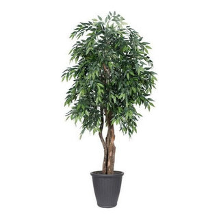 Vickerman TEX1460-RG 6' Artificial Green Tree Gray Round Plastic ...